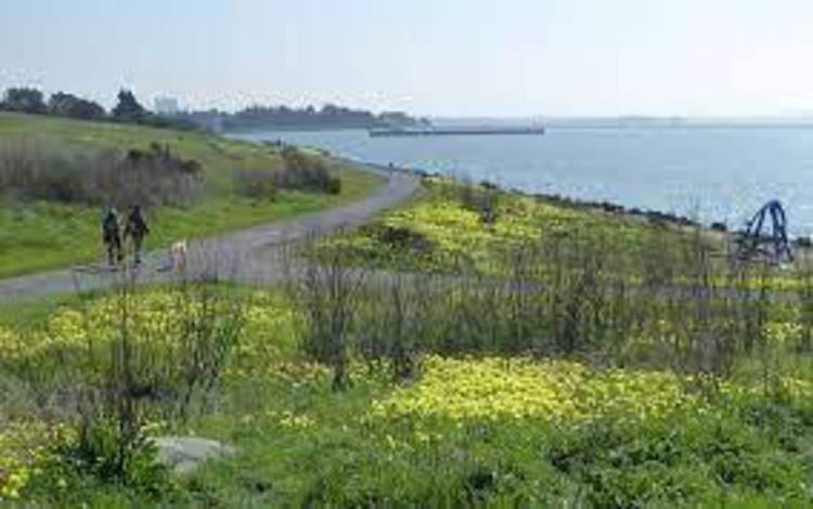 San Francisco Cesar Chavez Park/Berkeley Marina Walk | July 22, 2023 ...